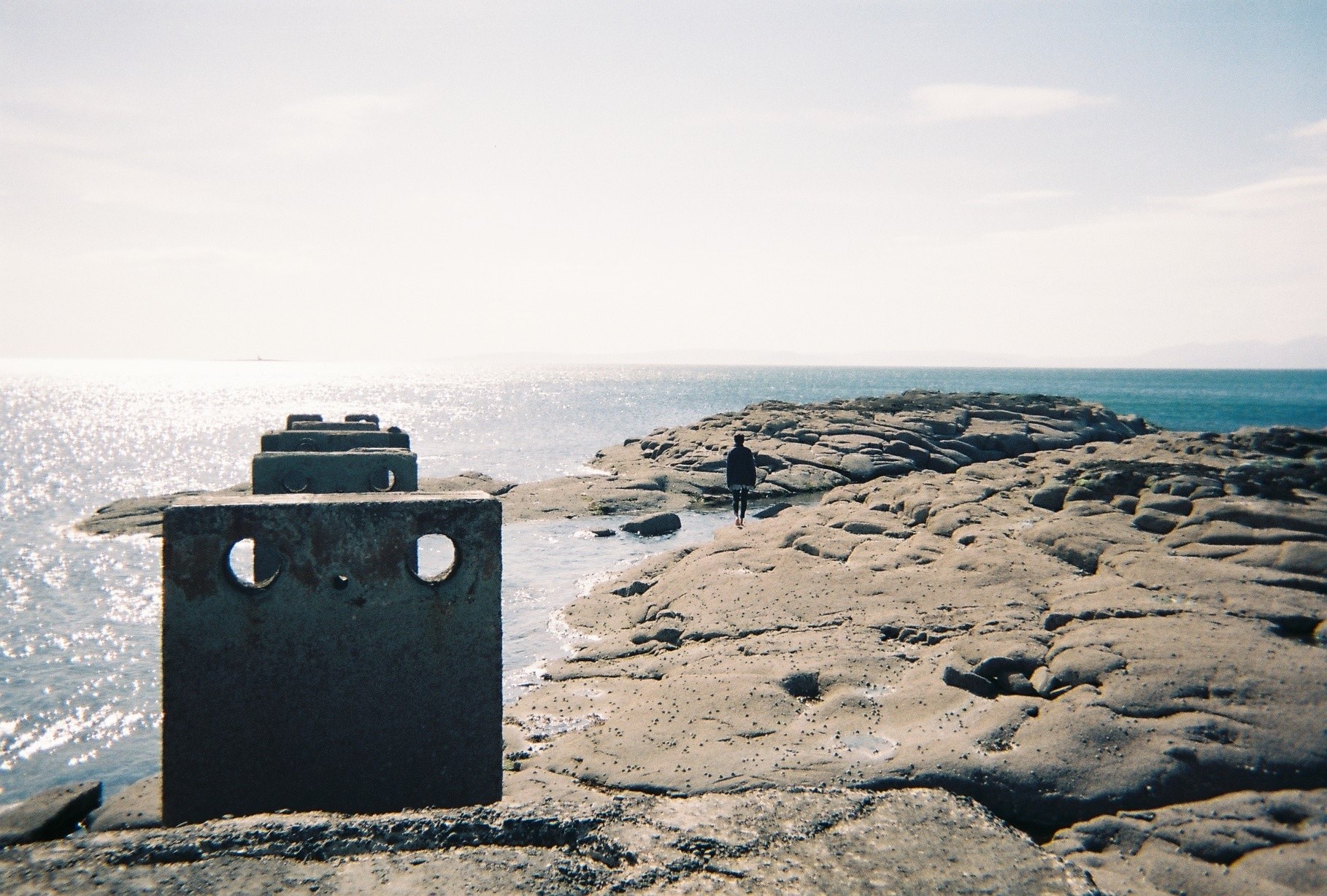 A Fragile Correspondence – Movement ecology